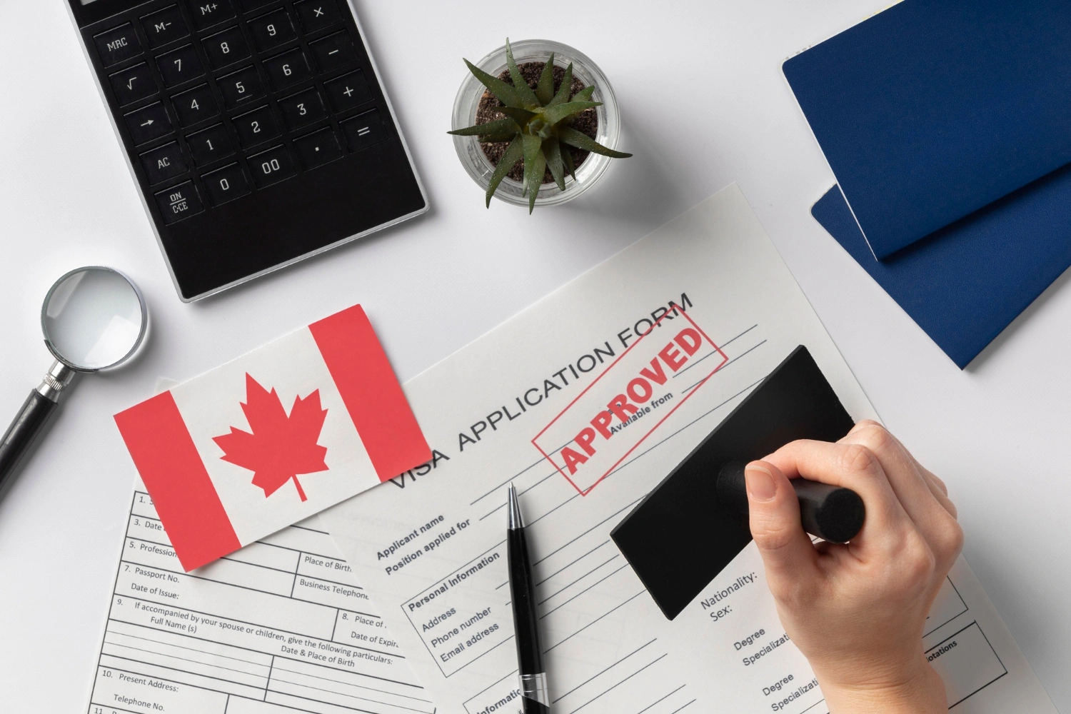 Canada Releases Updated IRCC Processing Times for November 2025: What ...